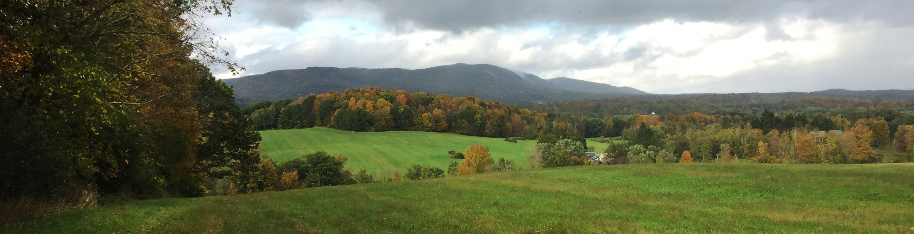 about the fund for north bennington, inc. - Explore our village