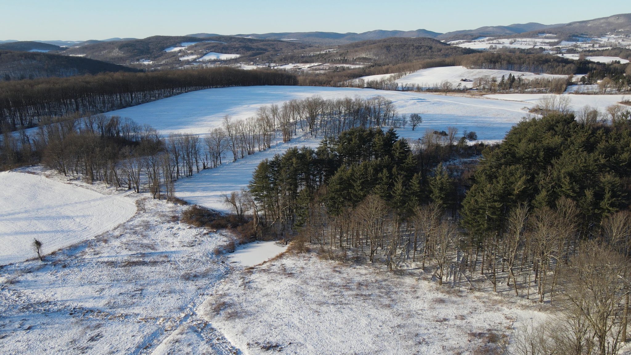 the fund for north bennington, inc. - Explore our village